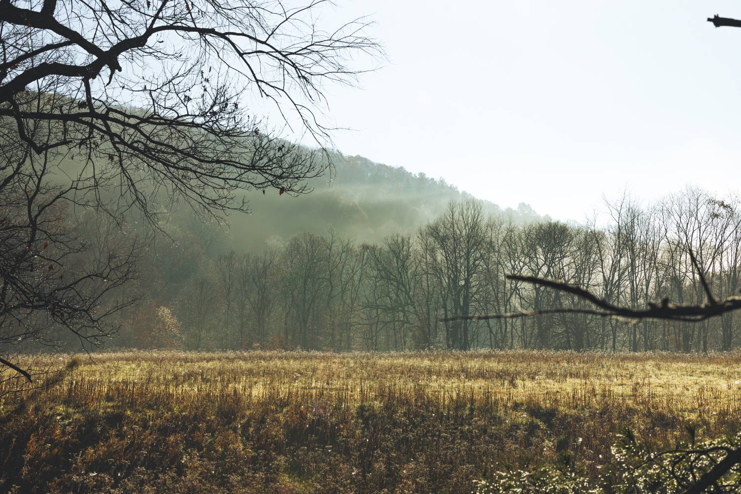 4 Reasons Post-Season Scouting is Hugely Beneficial | Mossy Oak